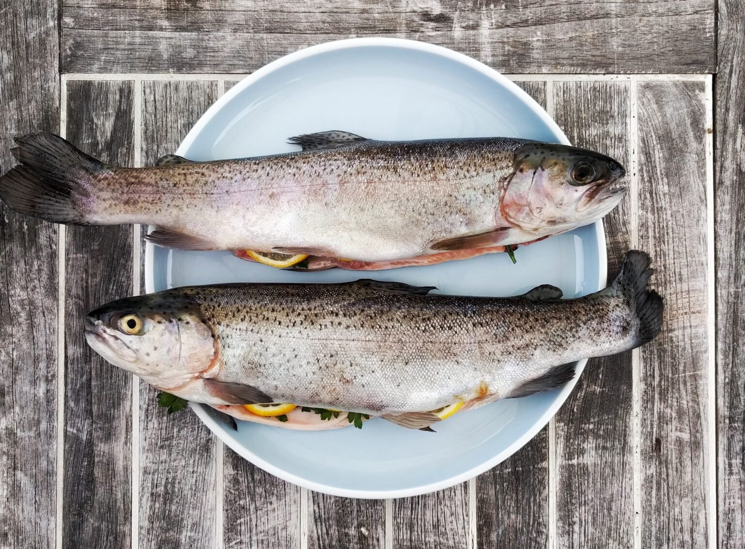 Trucha: un clásico de la cocina patagónica - AIRE PATAGONIA